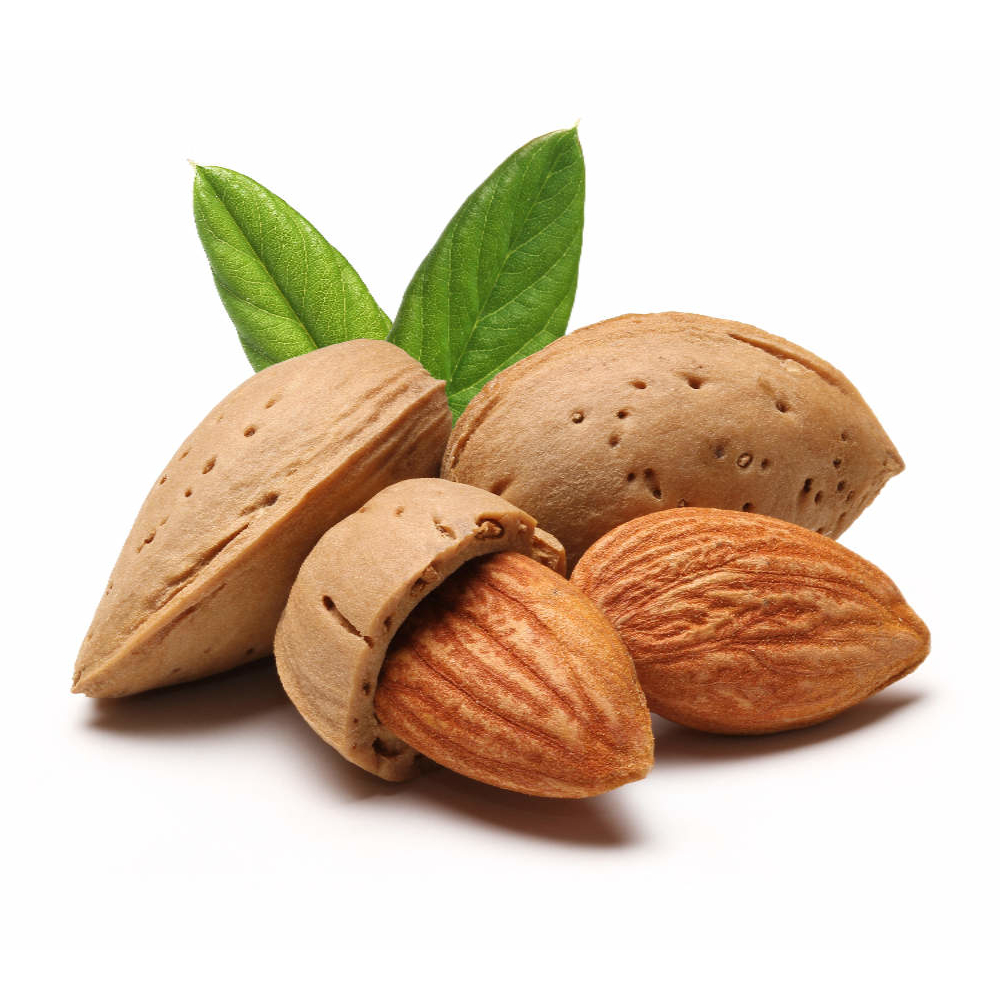 Sadnice Badema | Sadnice Voća "AGROKOM"