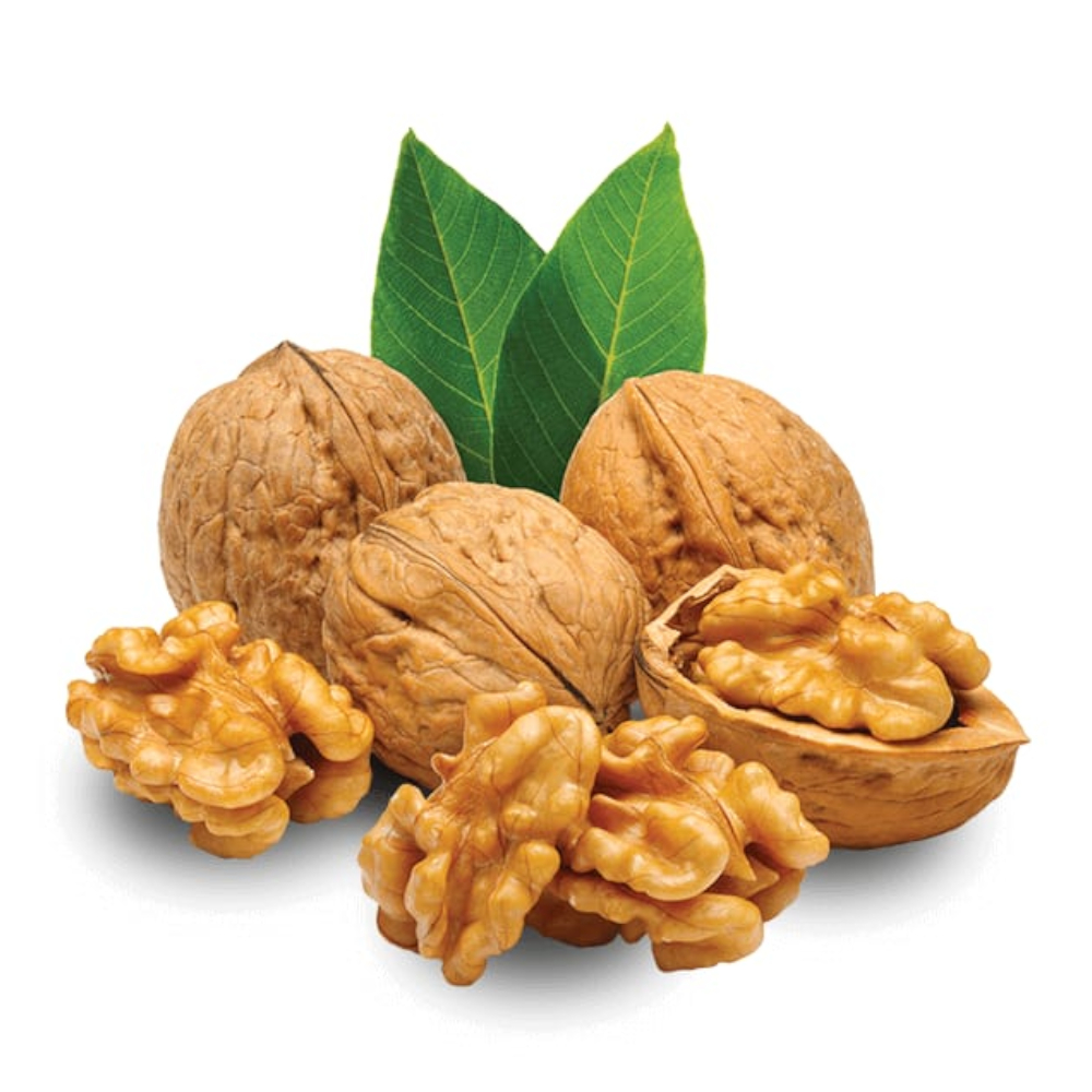 Sadnice Oraha | Sadnice Voća "AGROKOM"