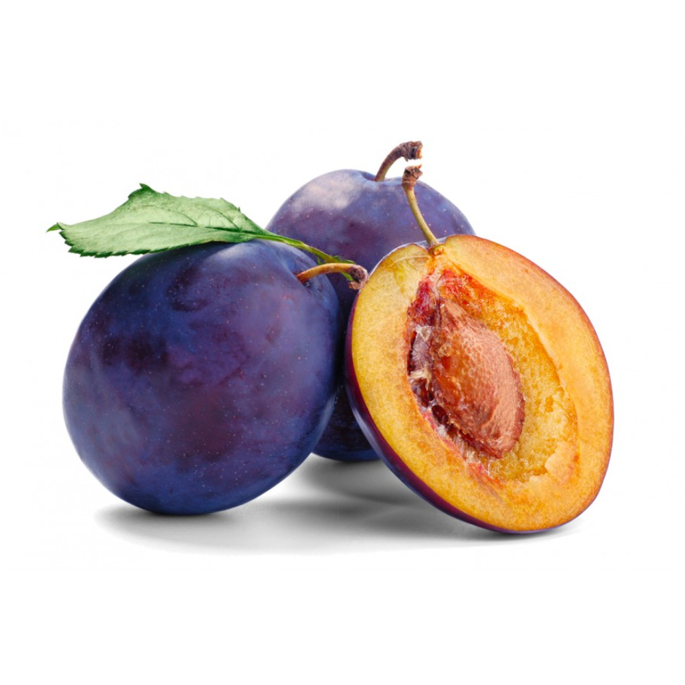 Sadnice Šljive | Sadnice Voća "AGROKOM"